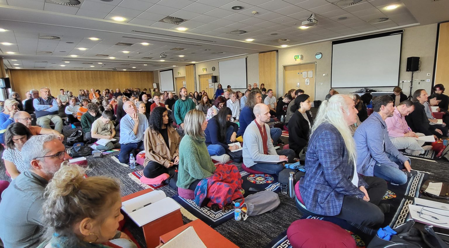 Swift to liberate: teachings on the stages leading to rebirth and the ...